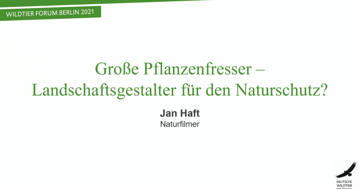 Große Pflanzenfresser - Landschaftsgestalter für den Naturschutz? Jan ...